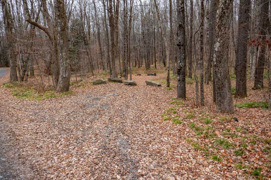 Camping & Hiking off Russell Brook & Morton Hill Road | Catskill ...