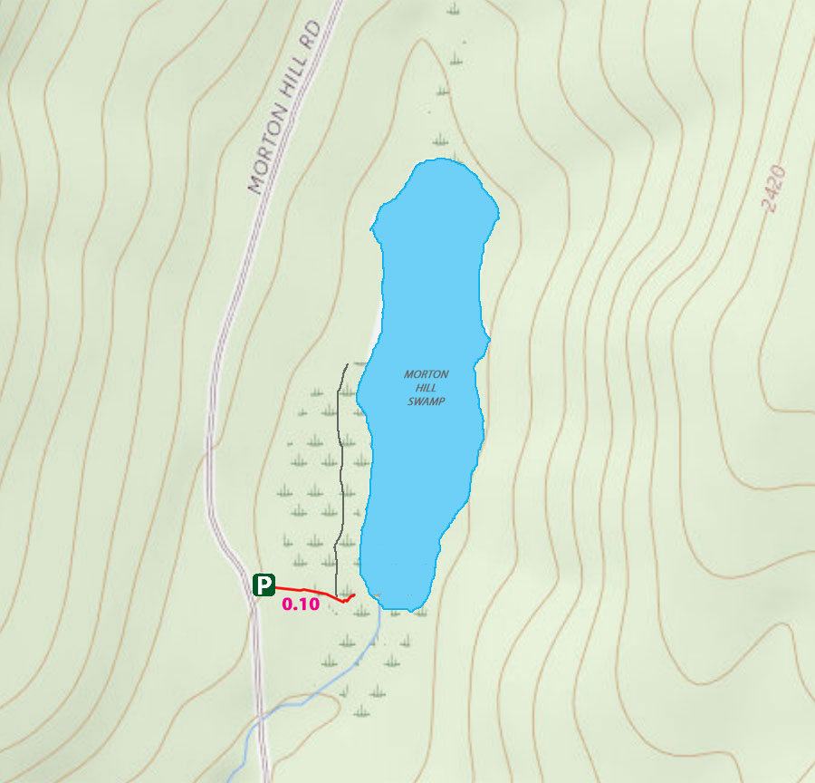 Hiking at Morton Hill Swamp